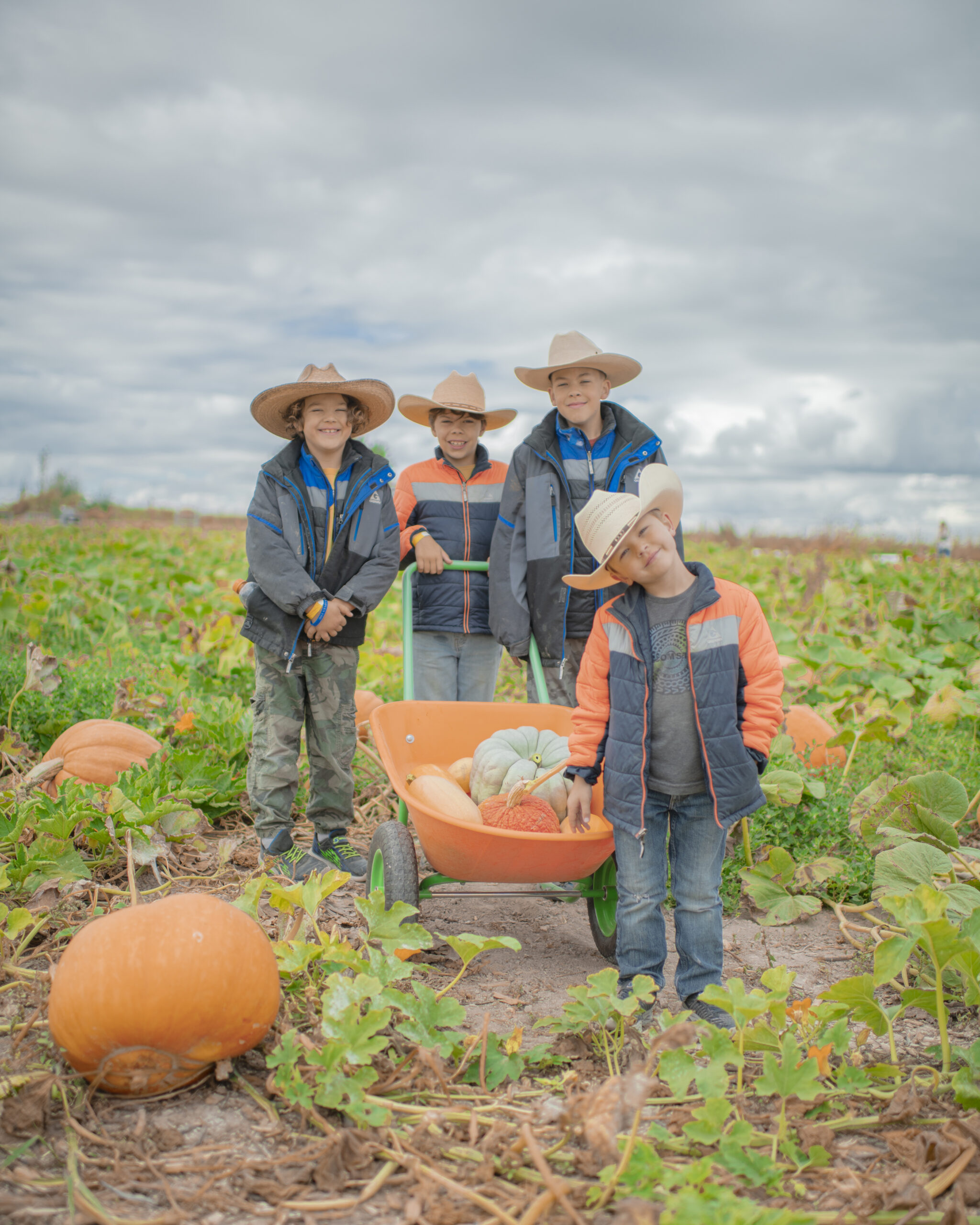 Plan a Truck Bed Picnic at the Pumpkin Patch – This Truck Life